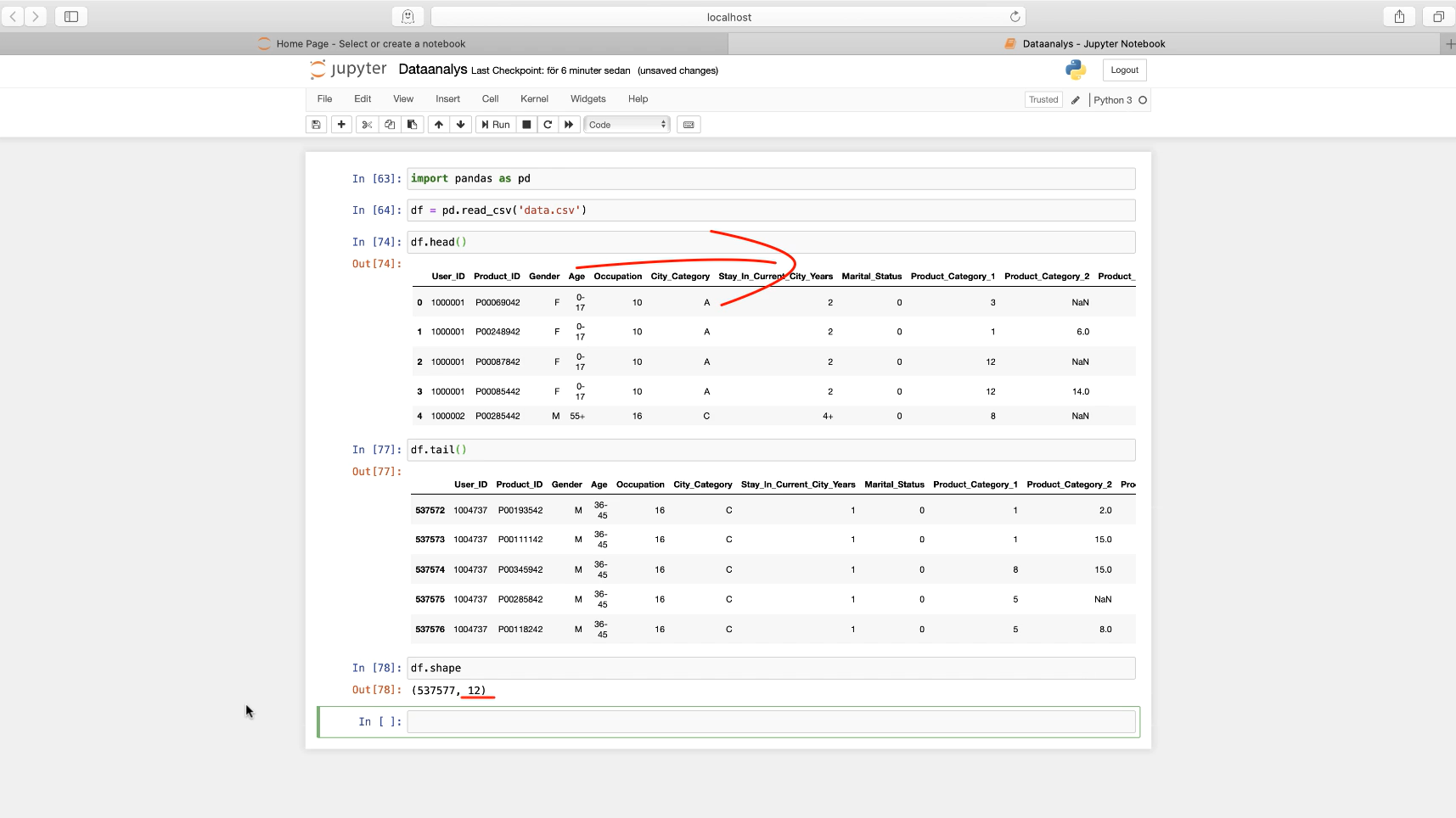 Grunderna i dataanalys med Python - Learnesy