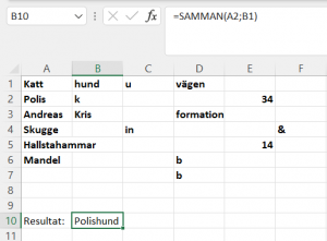 Hur sammanfogar man i Excel? - Learnesy